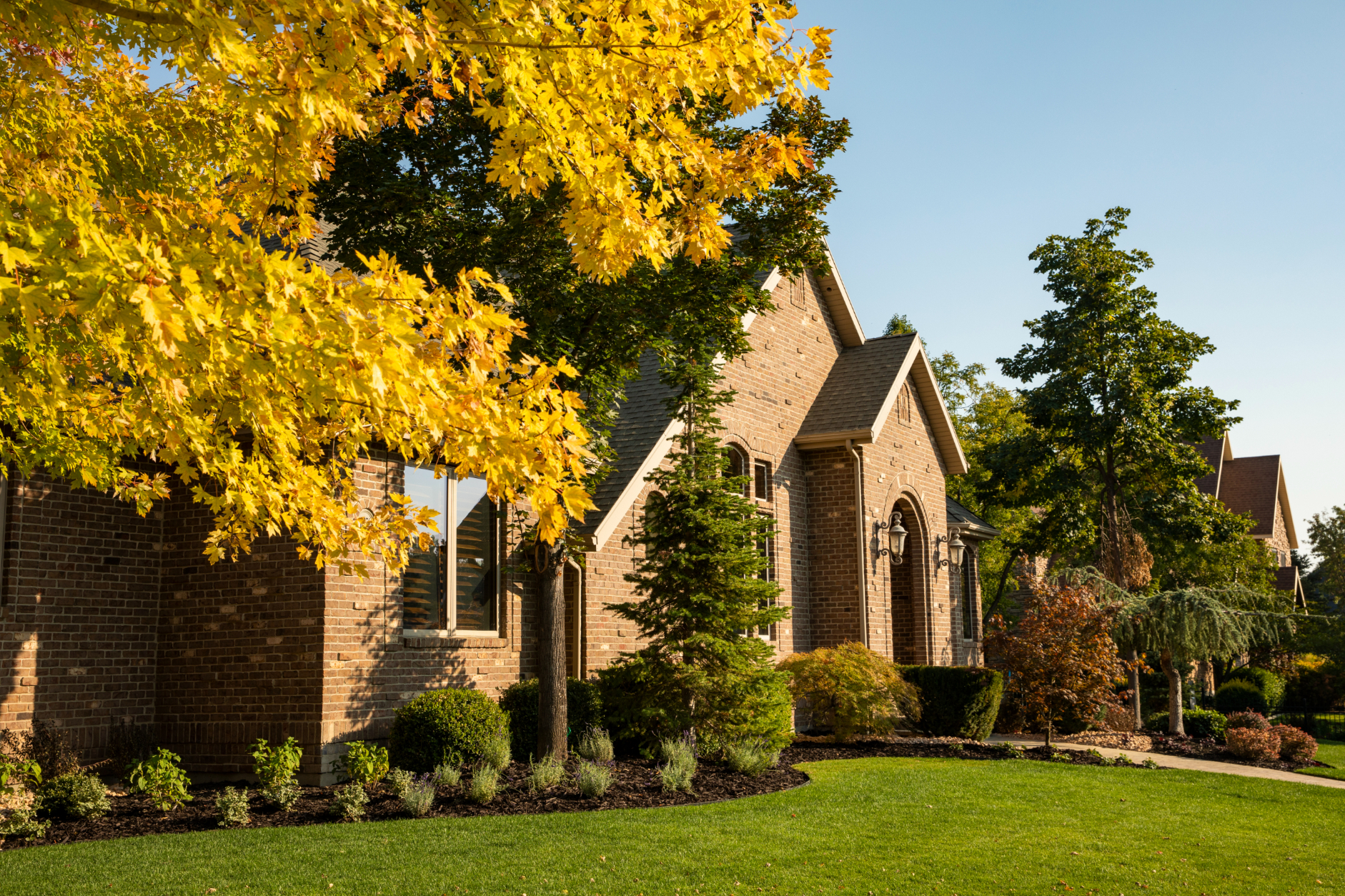 Landscape Planning: 5 Tips to Remember and 12 Mistakes to AVOID - Big ...