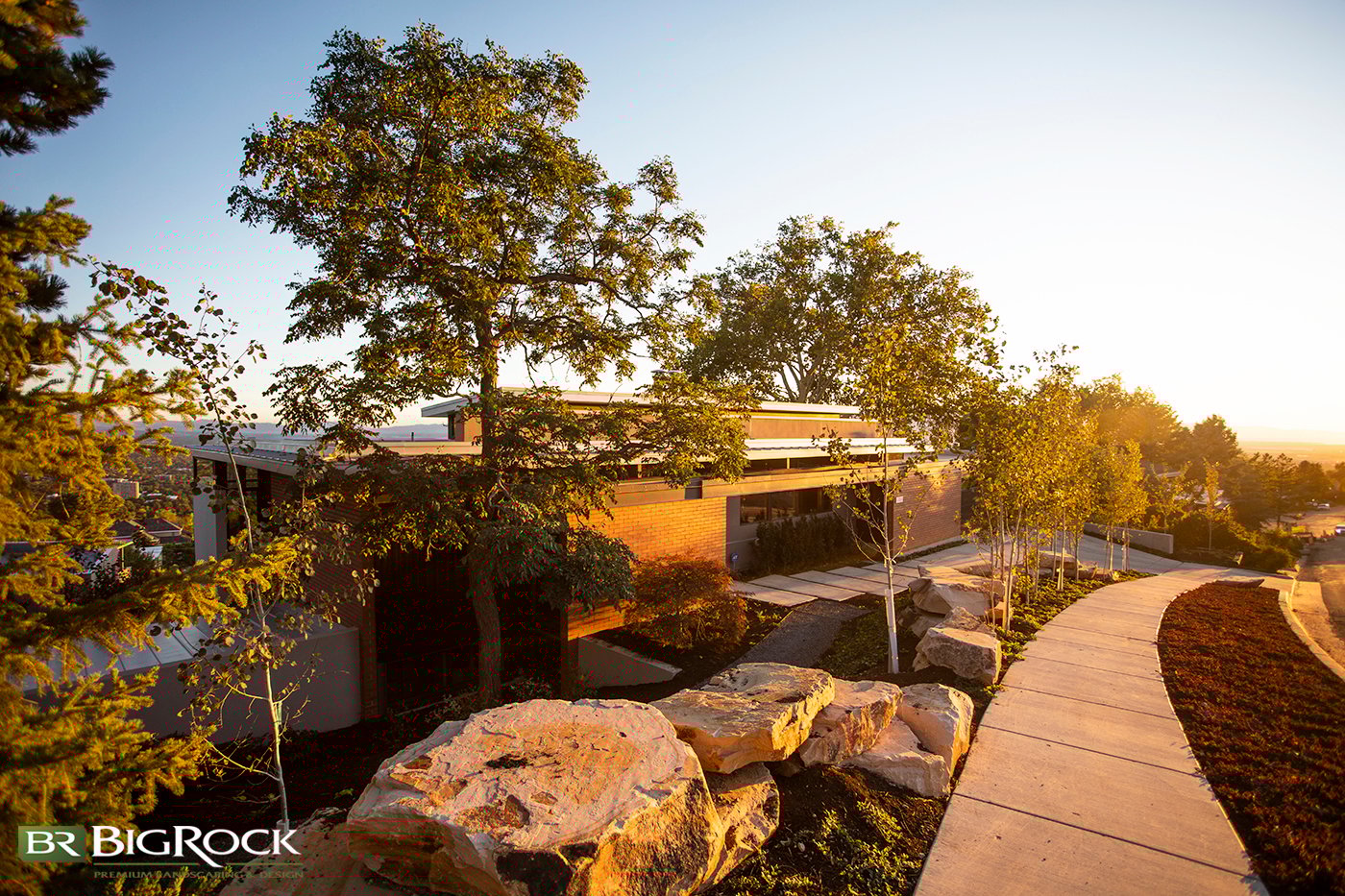 Easy Plants for Utah that Don’t Need a Lot of Water - Big Rock Landscaping