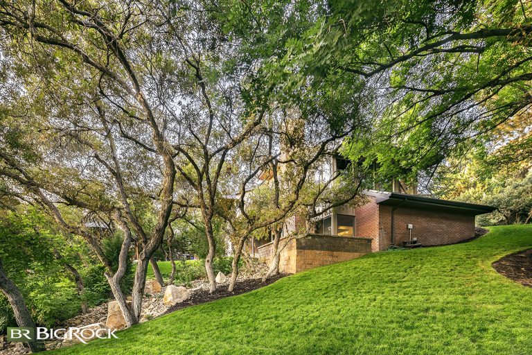 The 5 Best Trees for Utah Landscaping That Are Drought-Resistant and ...