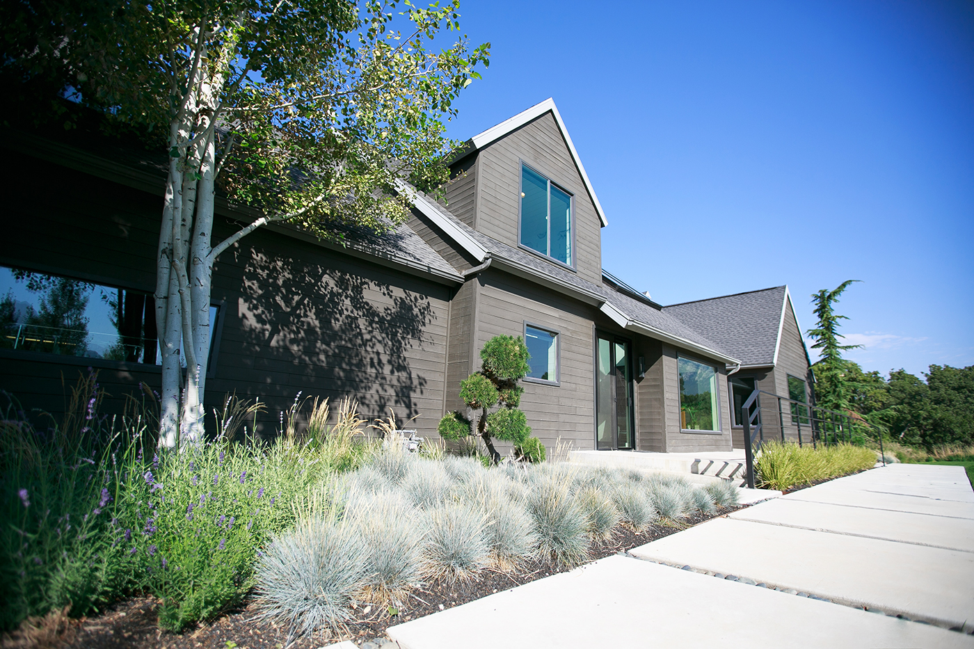 Big Rock Picks: Our Favorite Bushes for Landscaping - Big Rock Landscaping