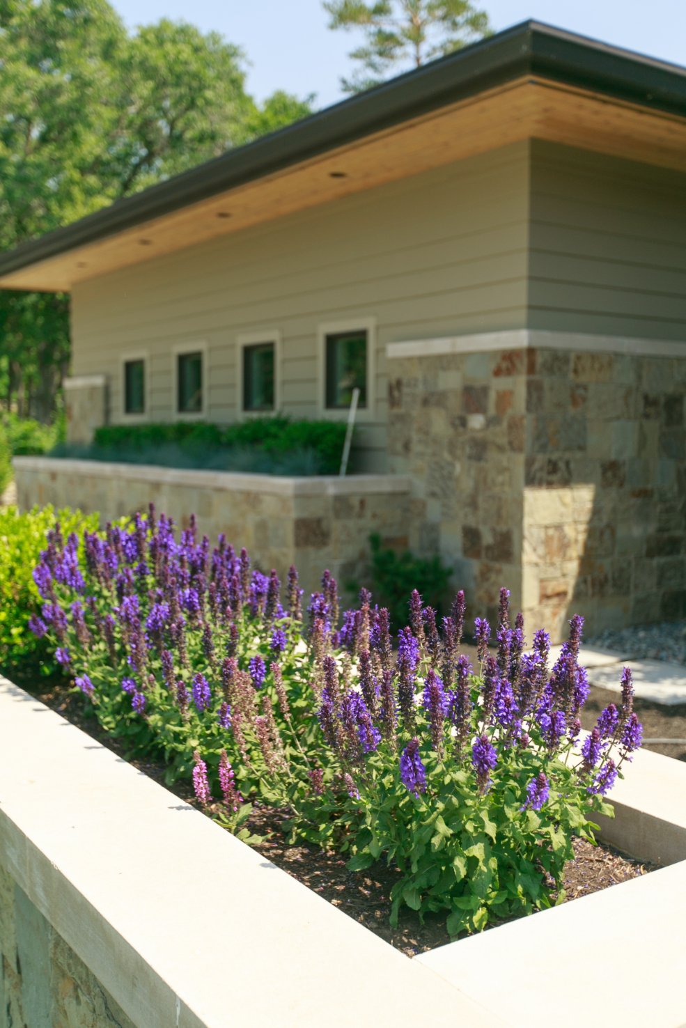 Our Favorite Perennials for Utah Landscaping Design - Big Rock Landscaping